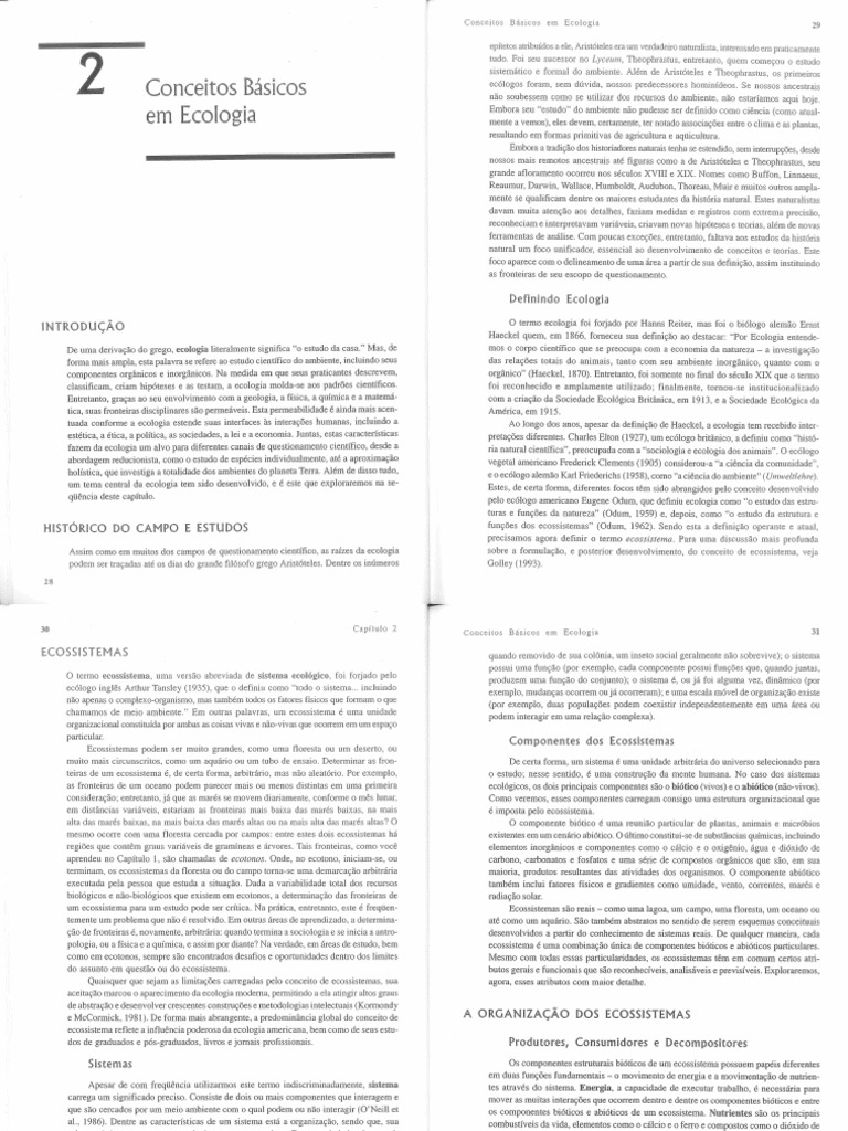 Conceitos Básicos Ecologia | PDF
