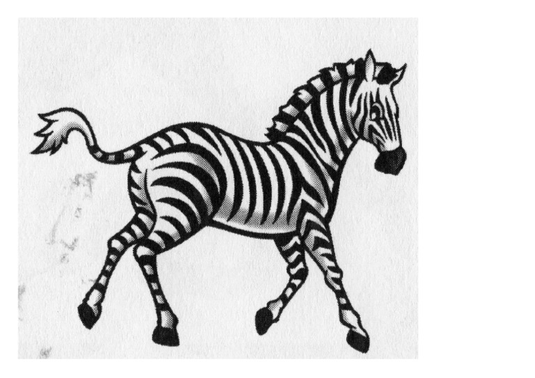 Zebra | PDF
