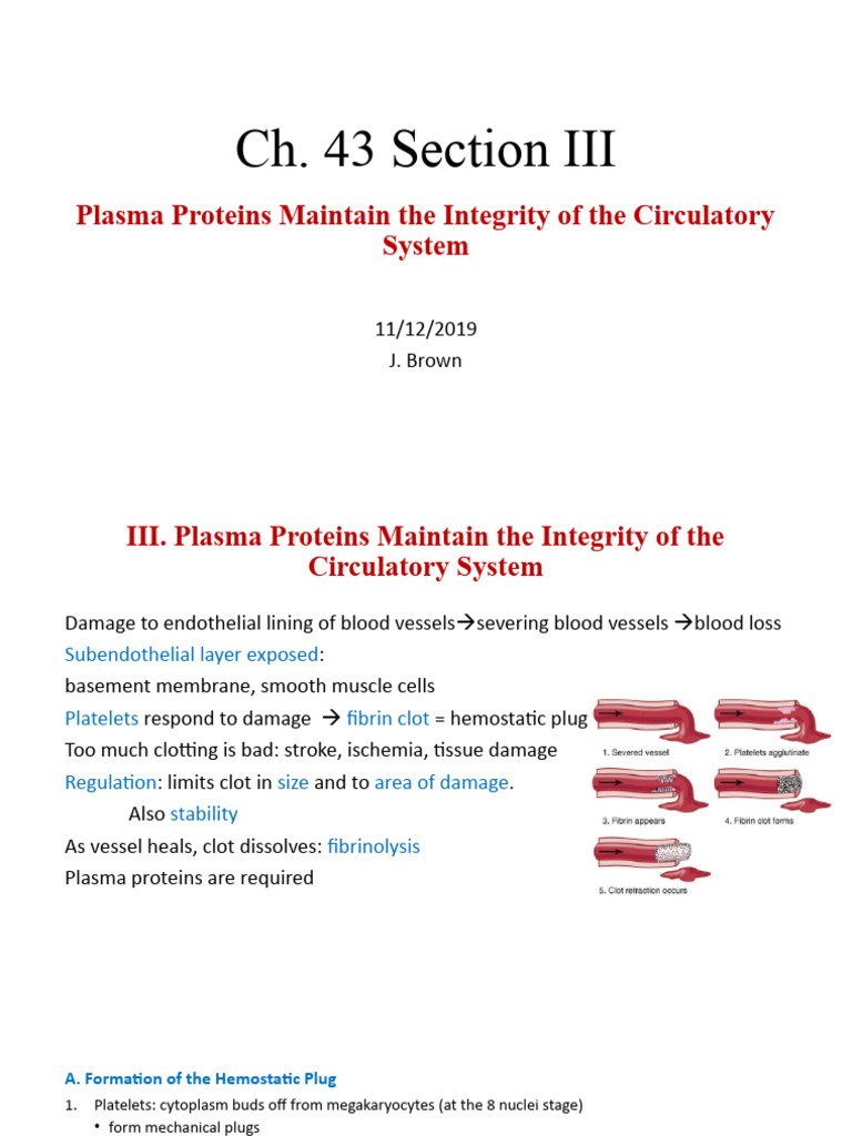 Ch 43 Platelets Coagulation & Fibrinolysis | PDF | Coagulation | Platelet