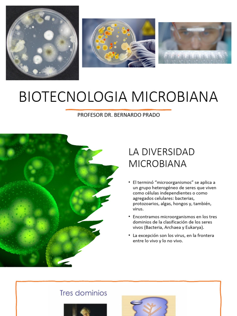 Clase 3 Biotecnologia Microbiana | PDF | Las bacterias | Virus