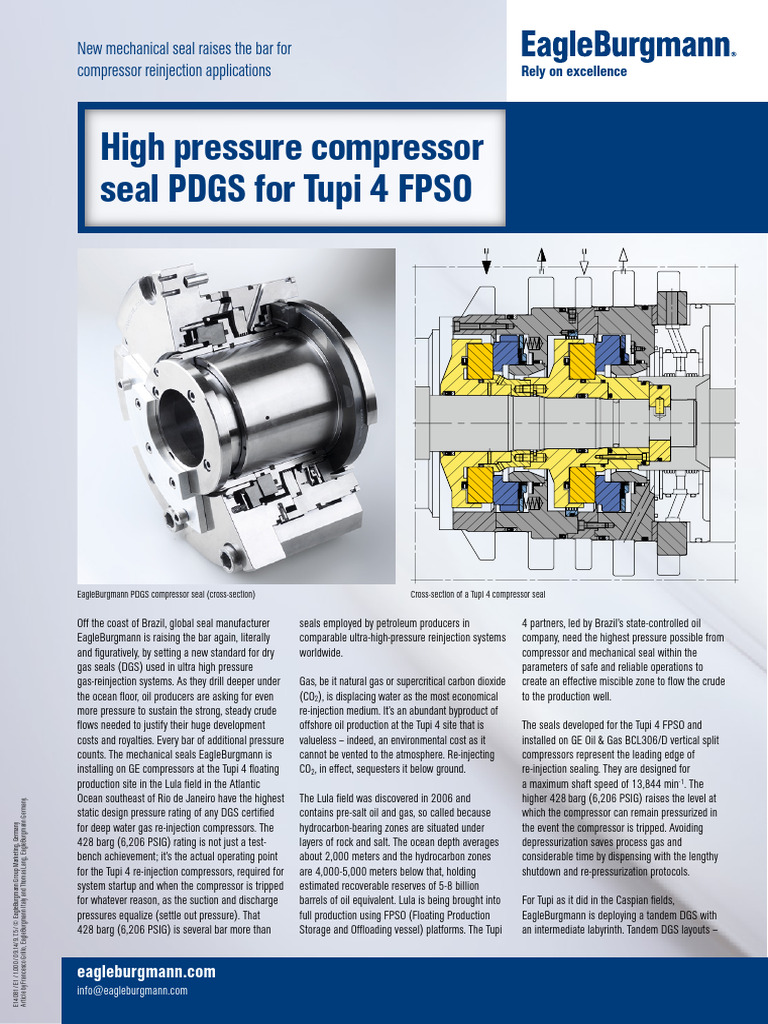 High Pressure Compressor Seal PDGS For Tupi 4 FPSO | PDF | Petroleum ...