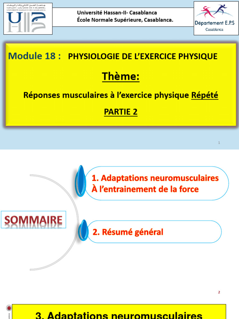 0M18 Le Eps S3 Muscles Et Exercice 2024 Partie N°2 | PDF | Musculation ...