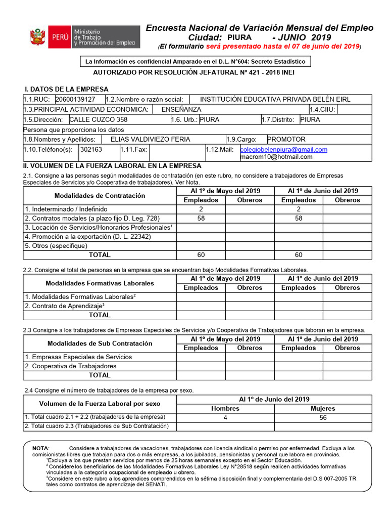 01 Formulario Envme Junio - Piura | PDF | Business | Jerga corporativa