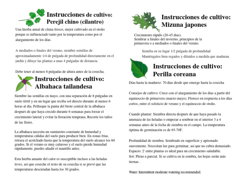 Growing Instructions SPANISH | PDF | Siembra | Verano