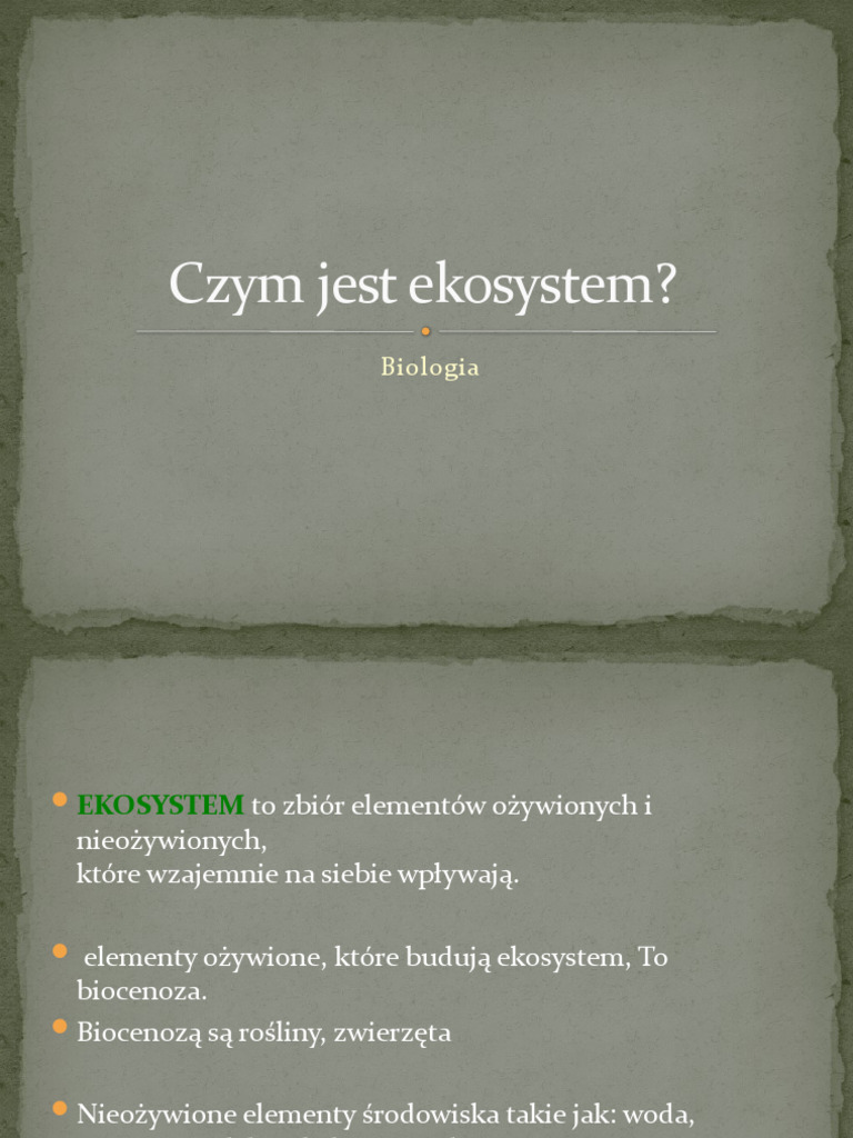 Czym Jest Ekosystem | PDF
