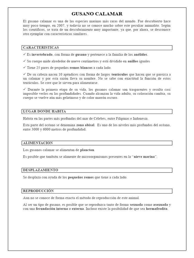 Gusano Calamar | PDF