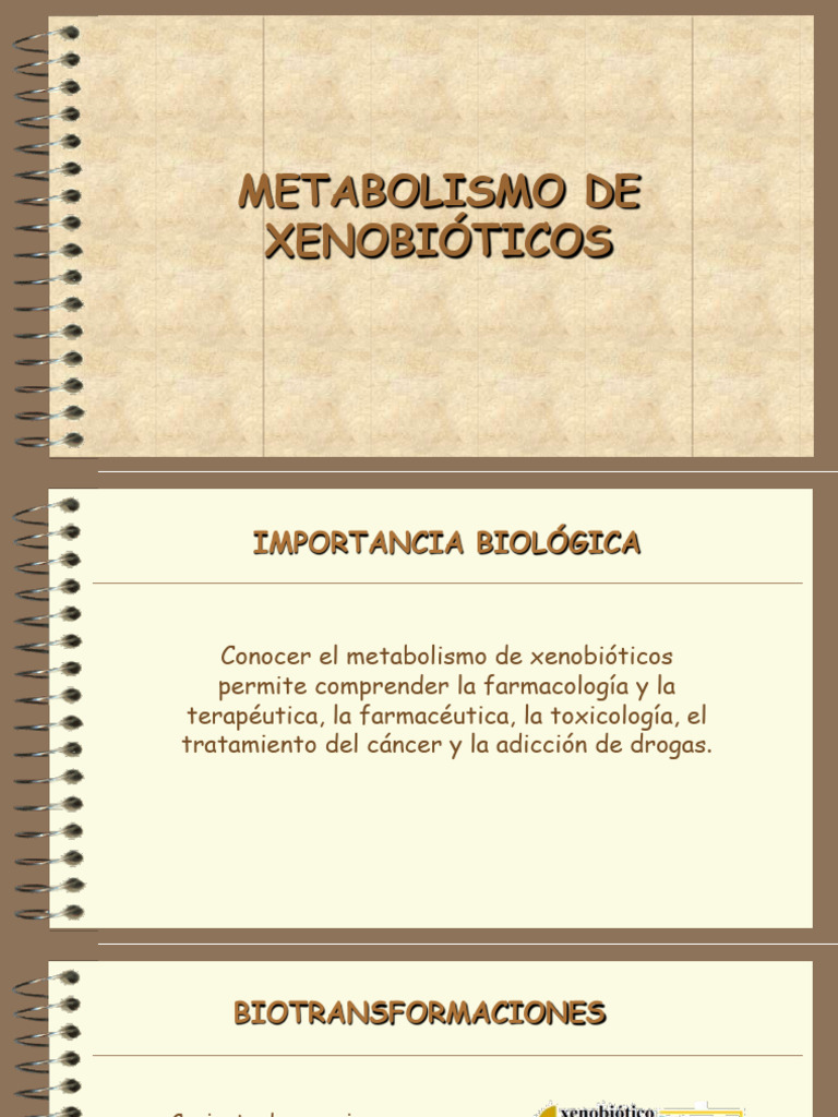 Metabolismo de Xenobioticos | PDF | Citocromo P450 | Glutatión