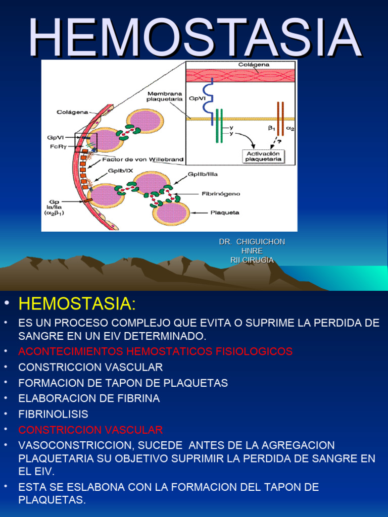 HEMOSTASIA | PDF | Coagulación | Plaqueta