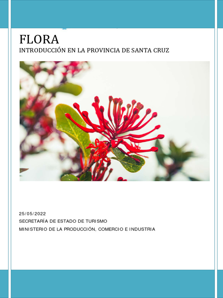 Flora de la Meseta Patagónica en Santa Cruz | PDF | Valle | glaciar