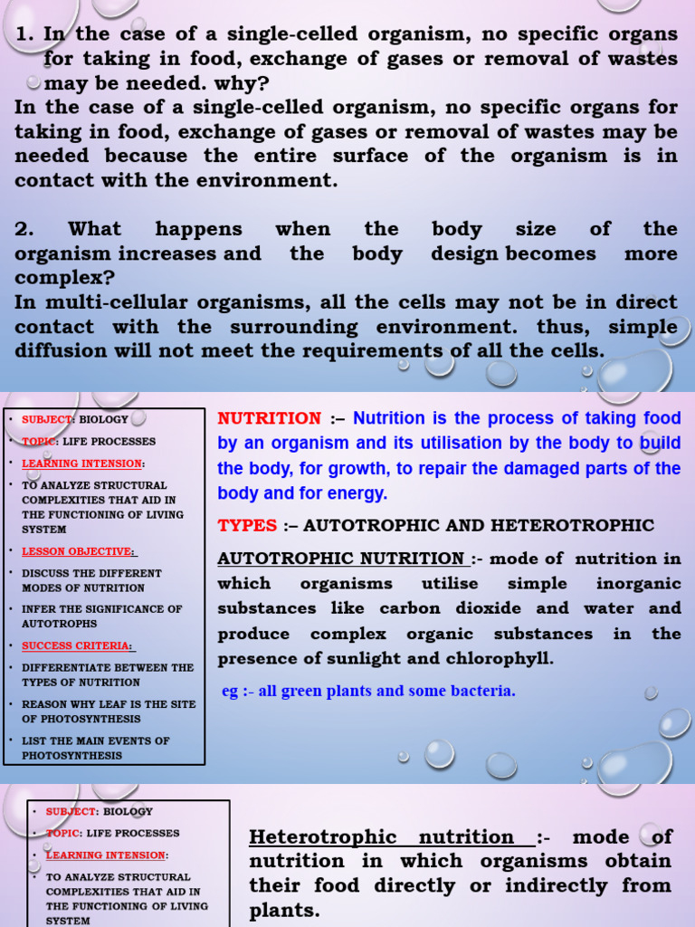 1 Life Processes Nutrition - Notebook (Rajani) | PDF | Stoma | Nutrition