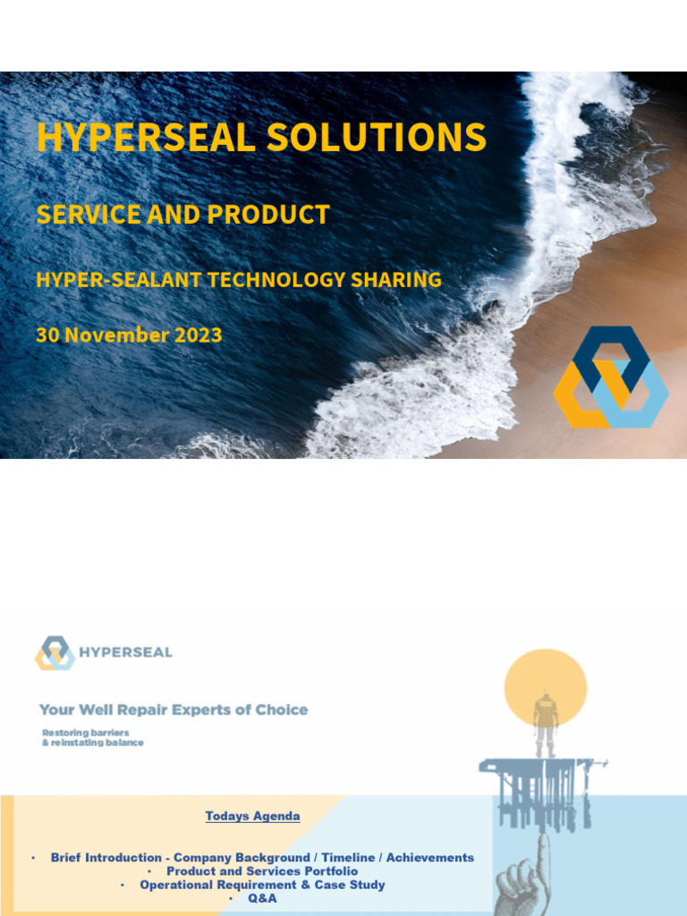 Hyperseal Well Integrity Solutions | PDF | Flow Measurement | Pipe ...