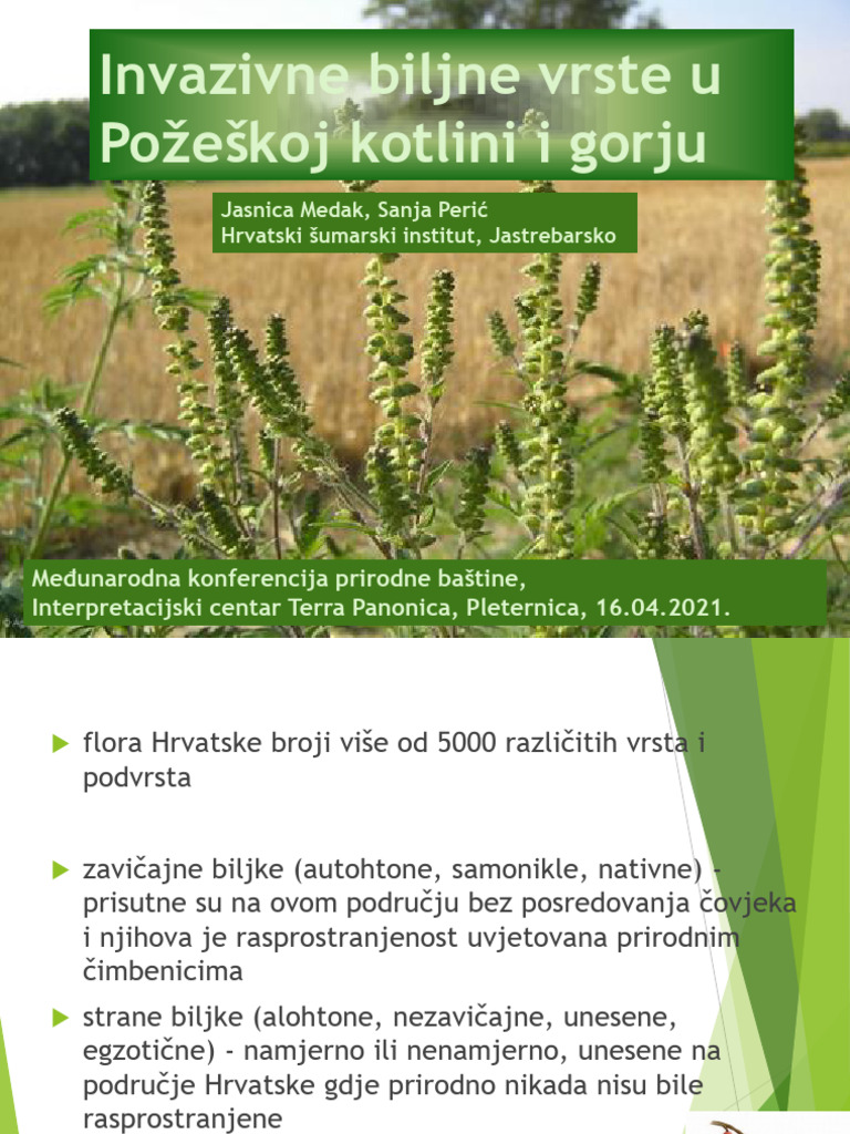 Medak Perić Invazivne - vrsteTP | PDF