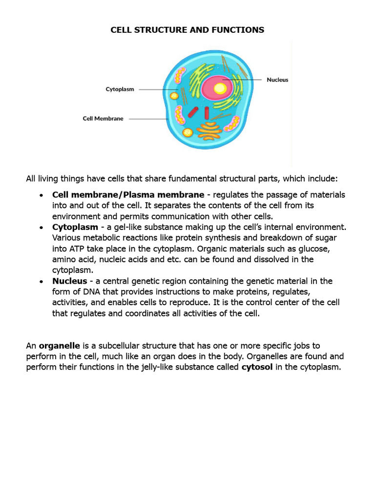 CELL STRUCTURE AND FUNCTIONS | PDF | Cell (Biology) | Cytoplasm