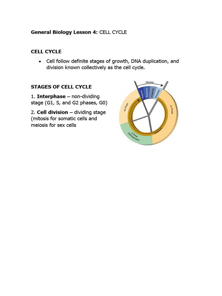 General Biology Lesson 5 | PDF | Mitosis | Cell Cycle