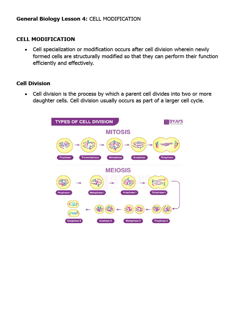 General Biology Lesson 4 | PDF | Cell (Biology) | Cell Membrane