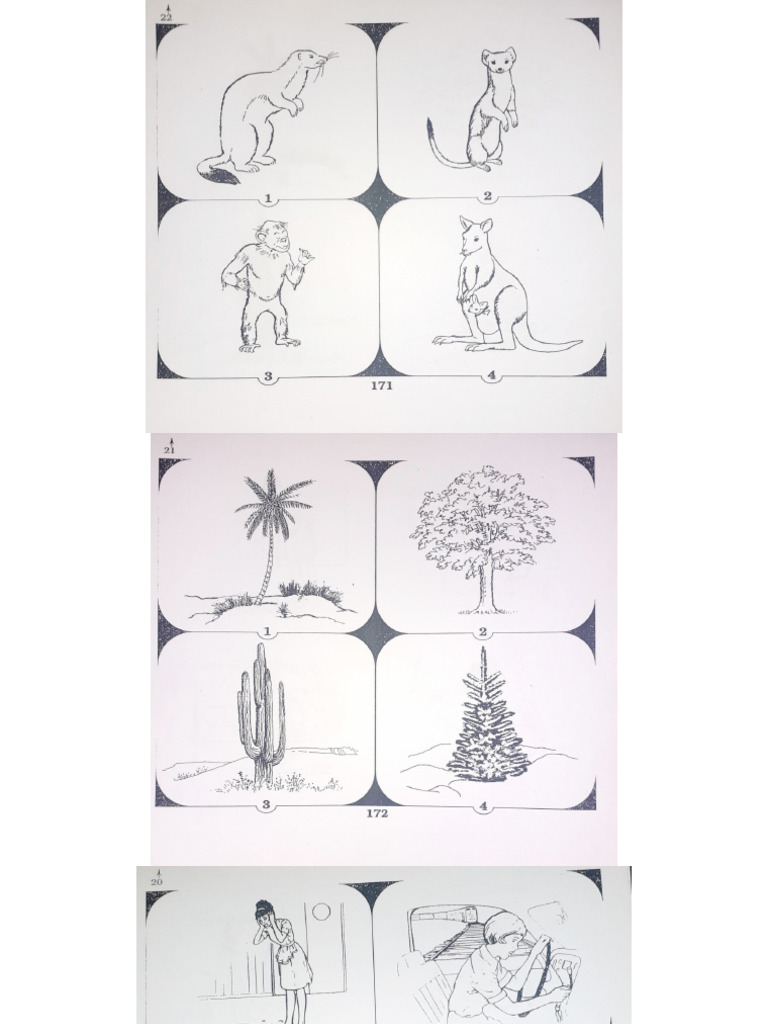 Test de Vocabulario en Imágenes Peabody (Parte4) | PDF