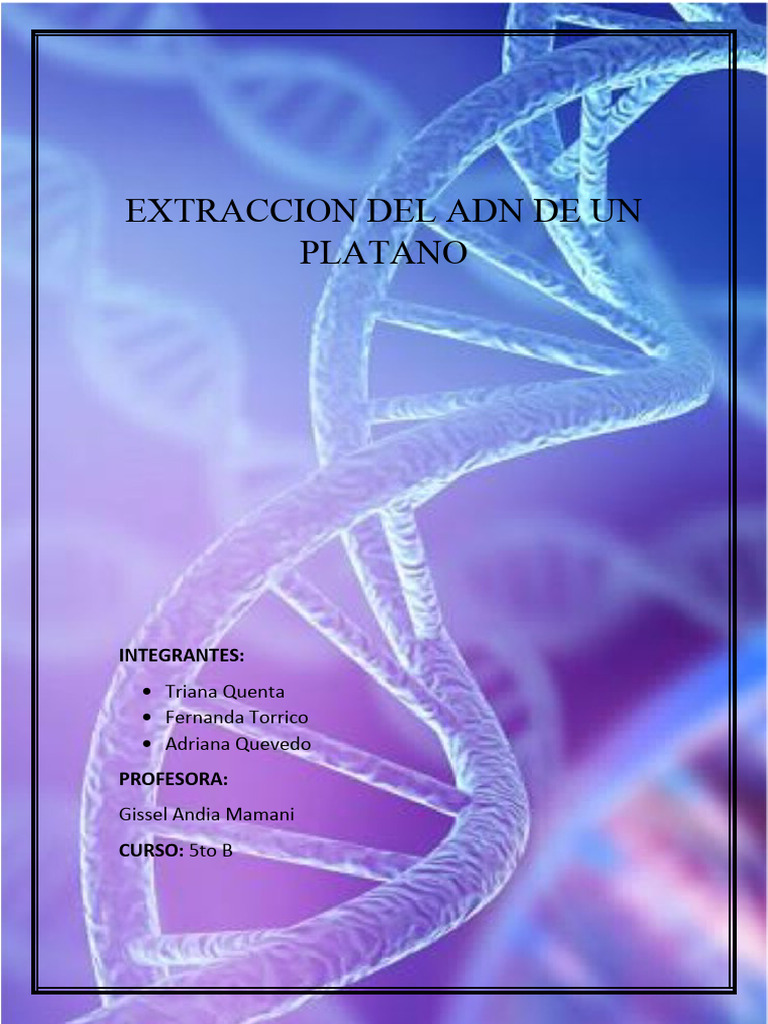 Extraccion Del Adn de Un Platano | PDF | Adn | Nucleótidos