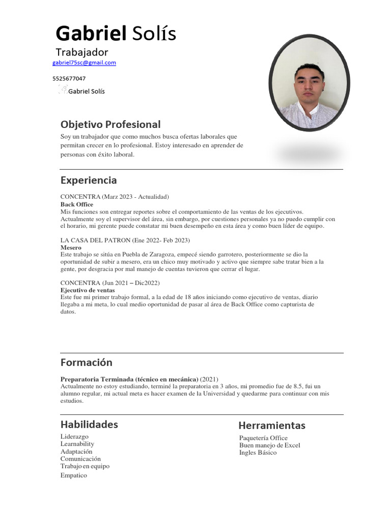 CV Ariel Gabriel Solis Canabl | PDF