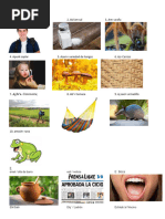 Palabras en Idioma Achi 31-10-2024 | PDF