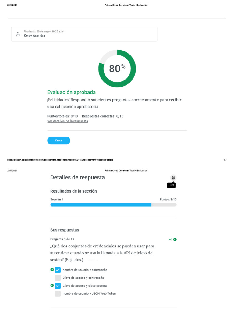 Prisma Cloud Developer Tools - Prisma Cloud Developer Tools | PDF ...