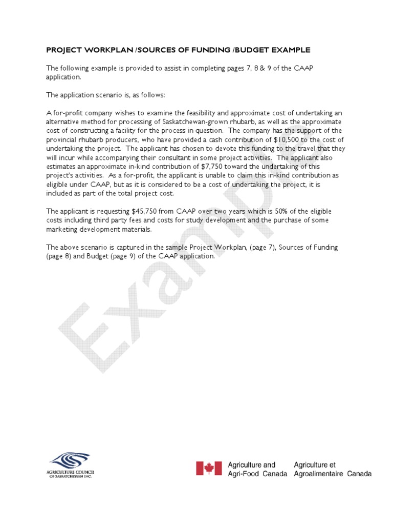 sample-work-plan-pdf-feasibility-study-government
