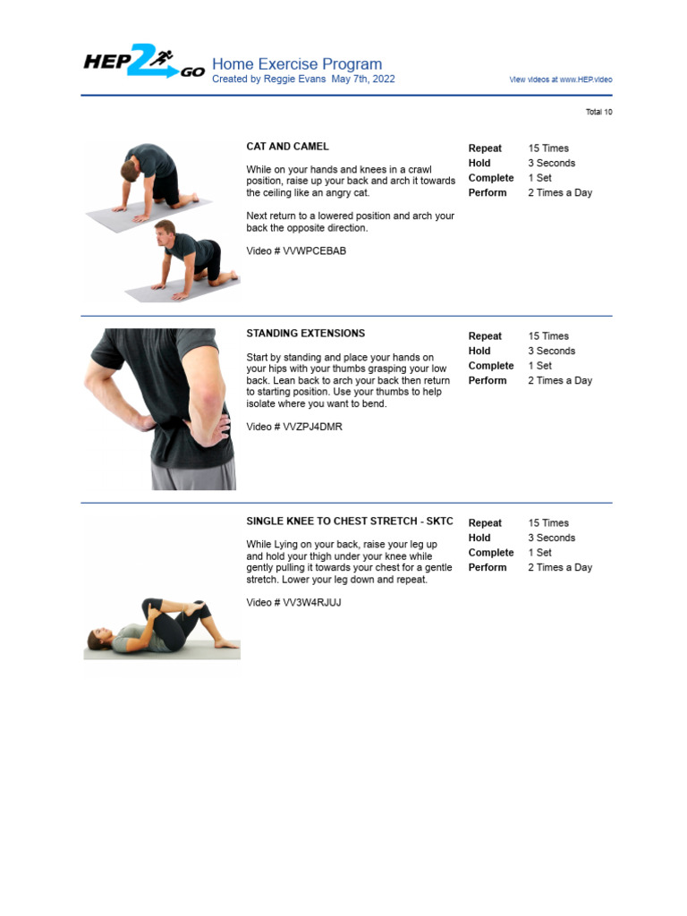 Home Exercise Program for Back Health | PDF | Hand | Anatomical Terms ...