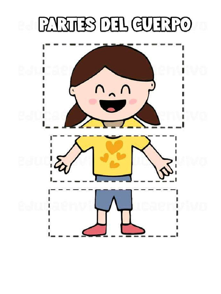 Rompecabezas Cuerpo Humano Parte 1 Pdf