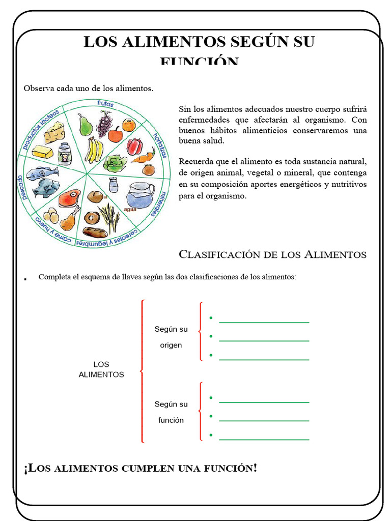 Clasificación de Alimentos por Función | PDF | Alimentos | Nutrición