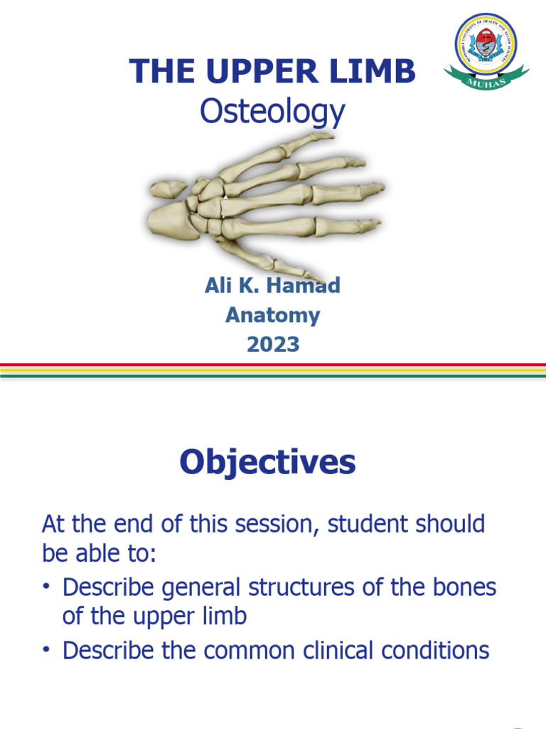 Osteology of Upper Limb 2023 | PDF | Hand | Elbow