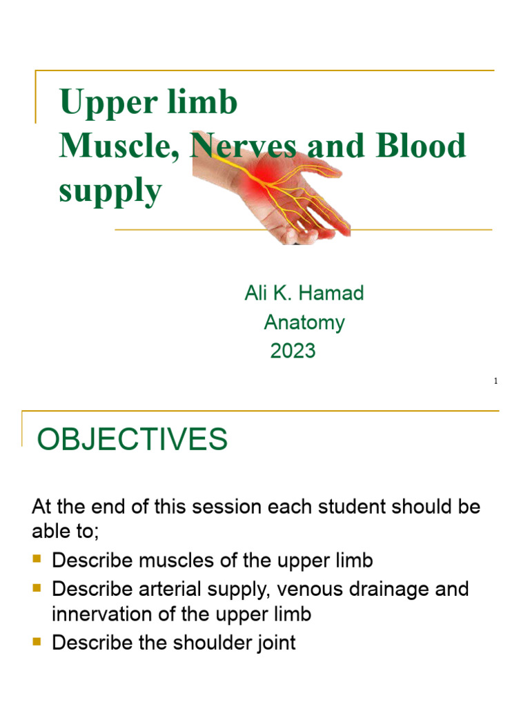 Upper Limb Full | PDF | Thumb | Arm