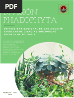 Morfología de Algas Phaeophyta | PDF | Procesos biologicos | Biología