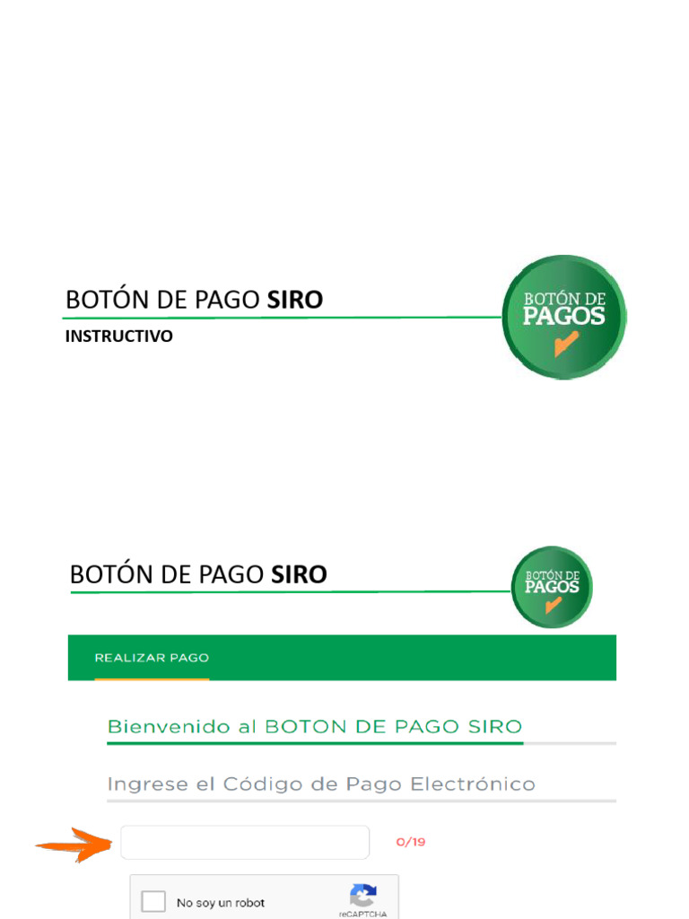 INSTRUCTIVO SISTEMA SIRO | PDF