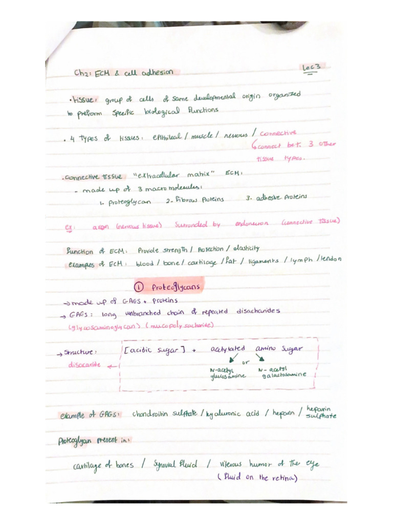 Lecture 3 (ch2) | PDF Lecture 3 (ch2) | PDF