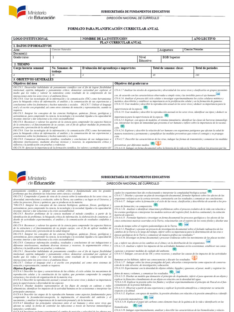 Pca CCNN Creaciones Egb 10 | PDF | Evaluación | Geología