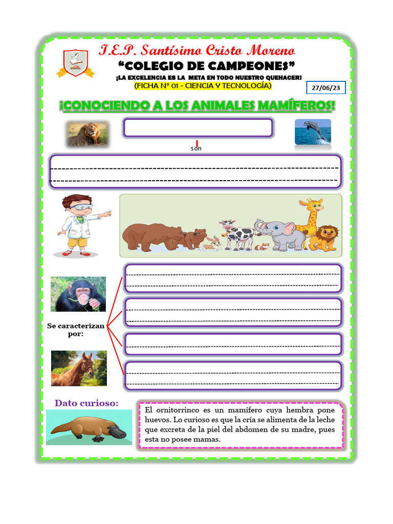 Los Animales Mamiferos | PDF | Mamíferos | Zoología