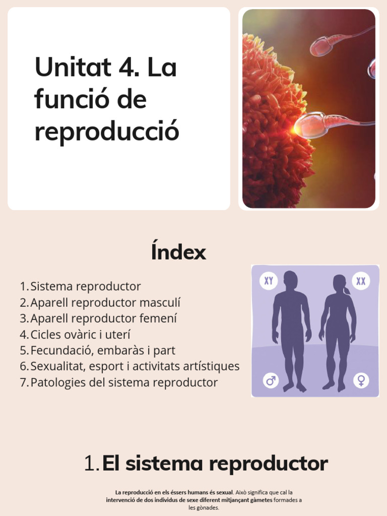 Unitat 4. La Reproducció | PDF