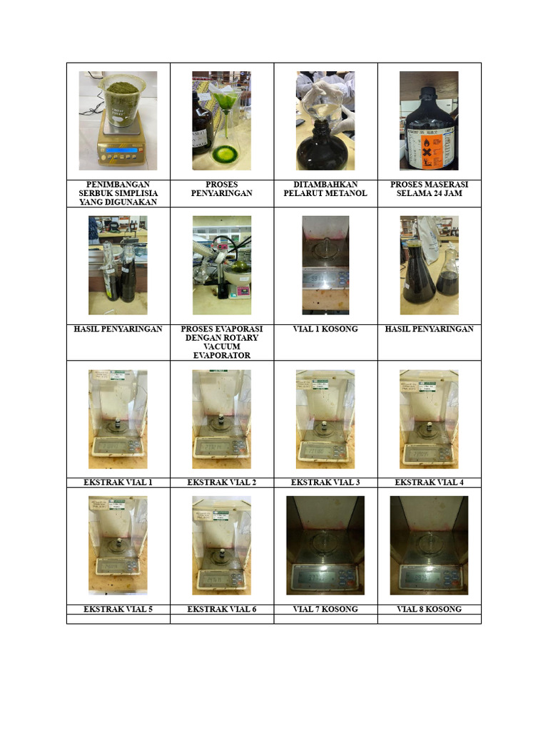 Lampiran Ekstraksi Maserasi | PDF