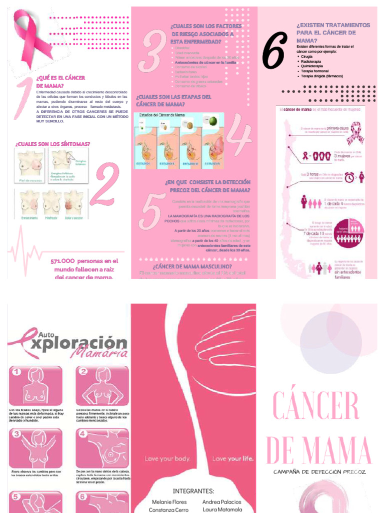 PDF Cancer de Mama Folleto - Compress | Descargar gratis PDF | Cáncer de mama | Cáncer