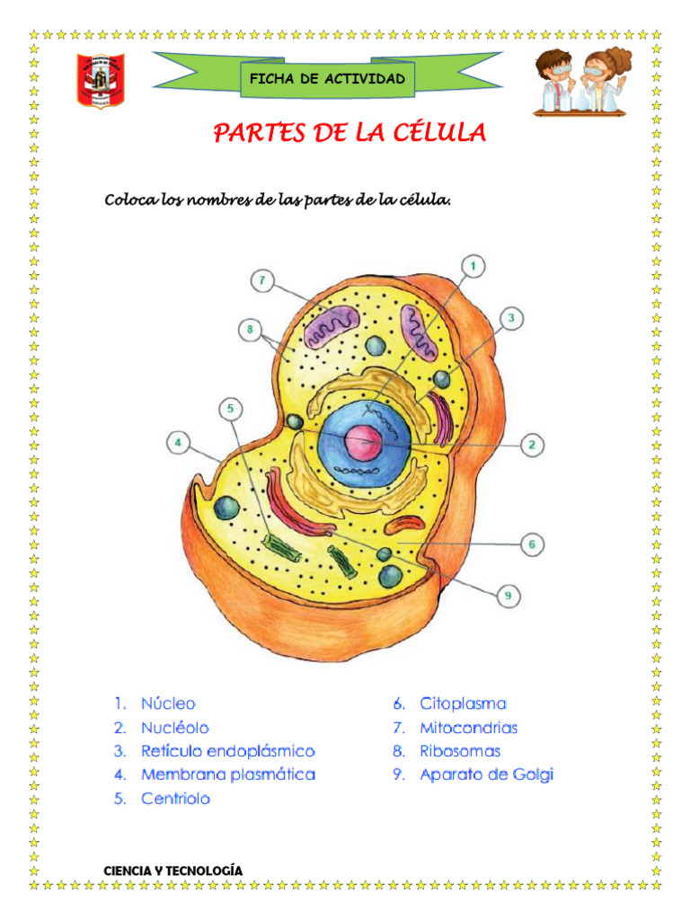 Ficha Celula | PDF | Autosuperación
