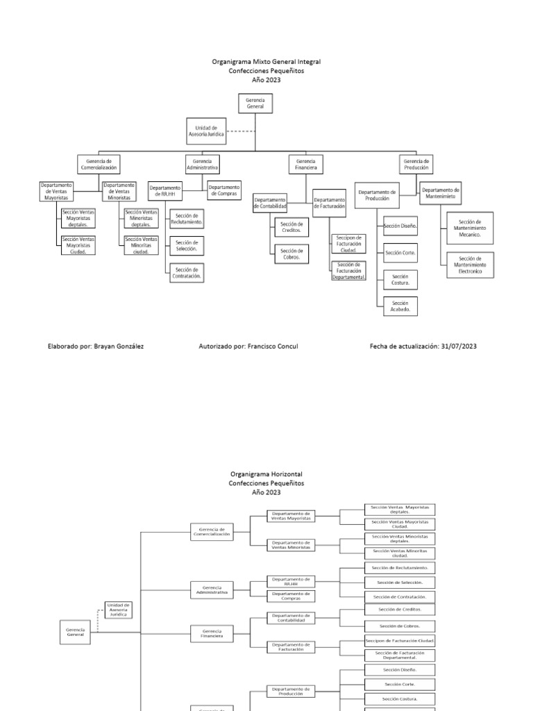 Organigrama Mixto General Integral & Horizontal. | PDF