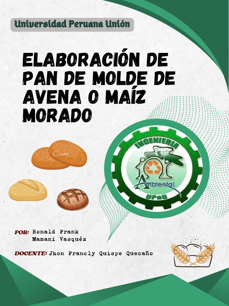 Informe Sobre Pan Con Granos Andinos | PDF | Panes | Trigo