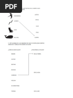 Cocinas y Modos de Cocinar Primer Grado | PDF | Estufa de cocina | Inicio