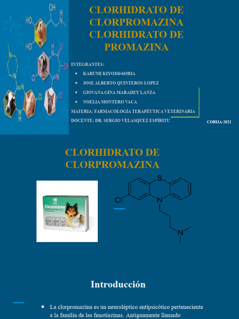 Clorpromazina y Promazina en Veterinaria | PDF | Antipsicótico ...