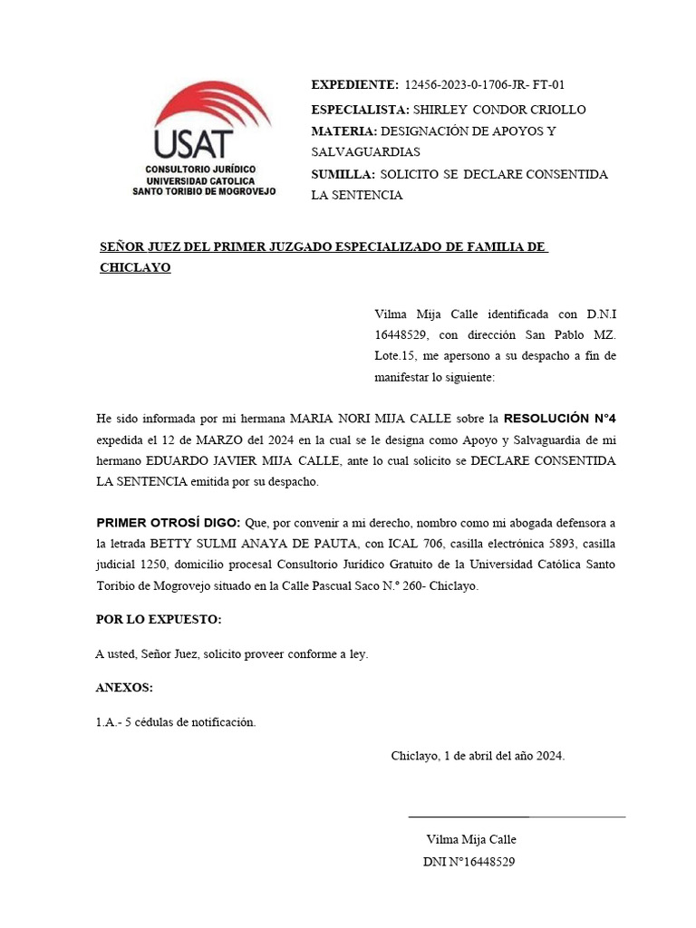 Solicitud - Vilma Mija Calle | PDF