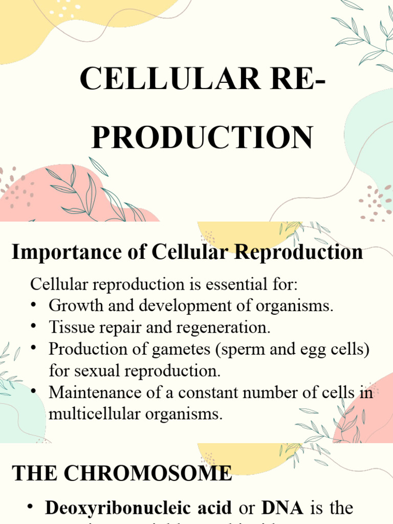 Cellular Reproduction | PDF | Meiosis | Mitosis