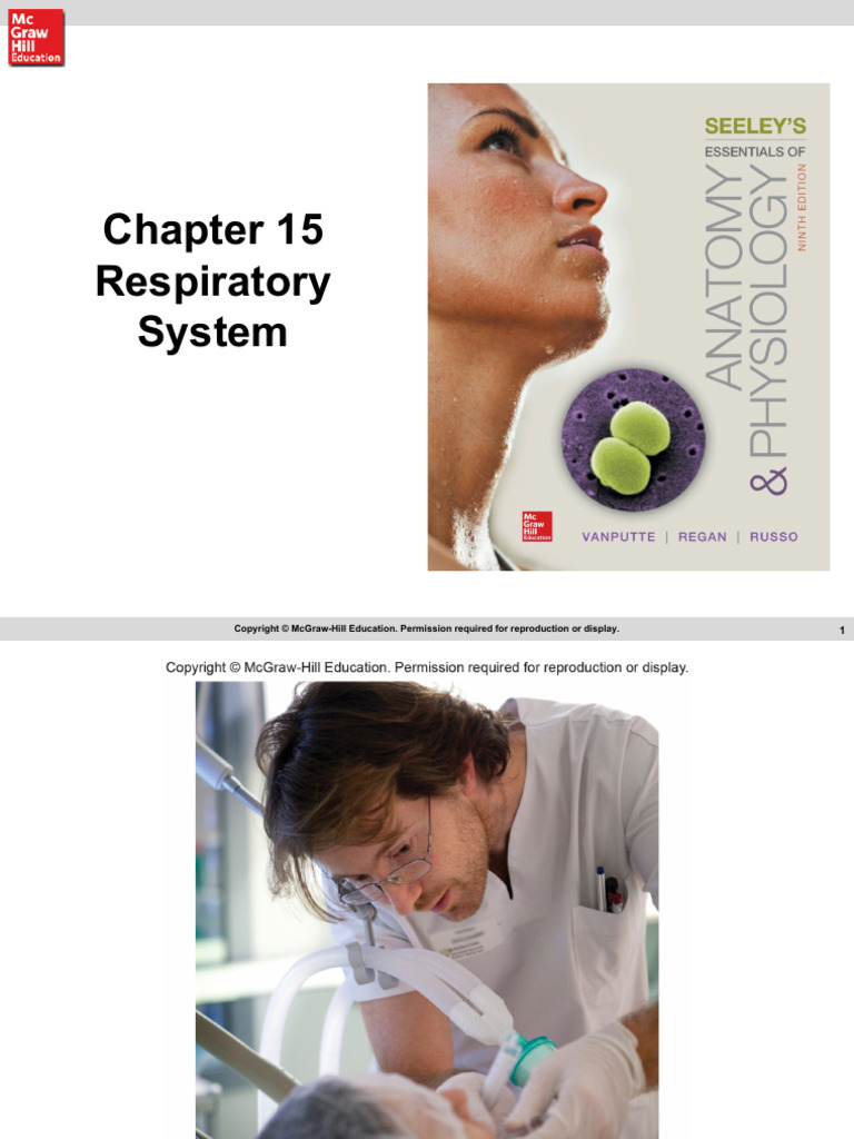 15 Respiratory System Pdf Lung Respiratory Tract