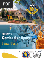 Ukraine Aircraft Bombs - CAT-UXO | PDF | Cluster Munition | Bomb