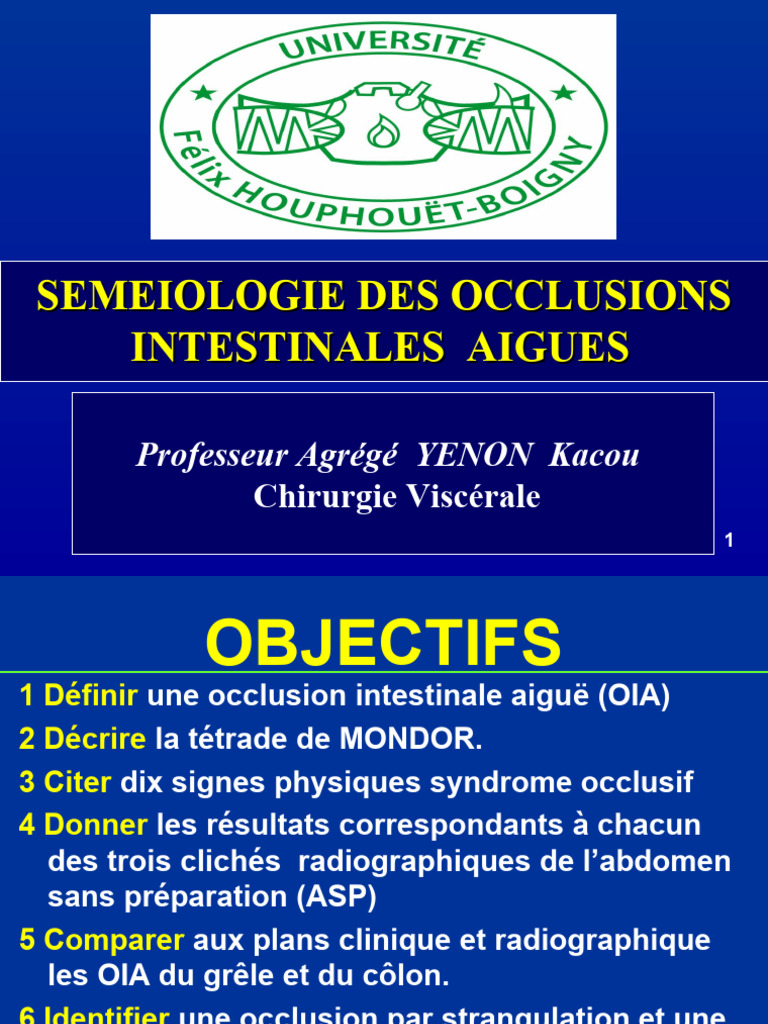 Occlusion Intestinale Aiguë : Diagnostic et Signes | PDF | Maladies ...
