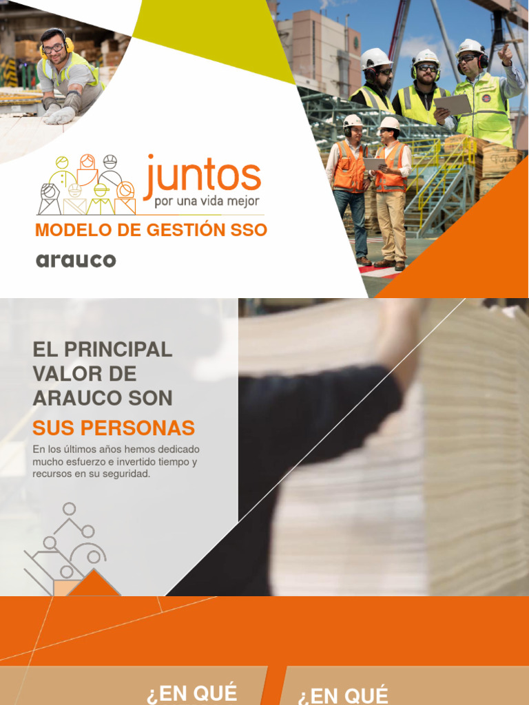 Modelo Juntos Por Una Vida Mejor y ES | PDF