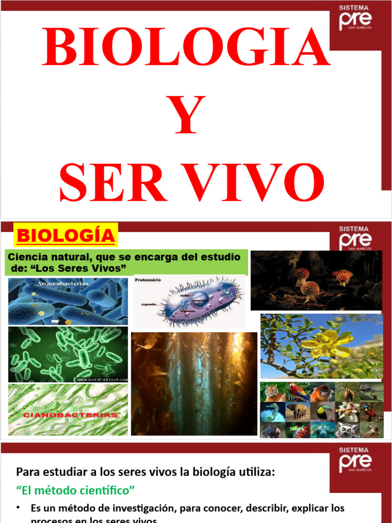 Introducción a la Biología y Seres Vivos | PDF | Organismos | Biología
